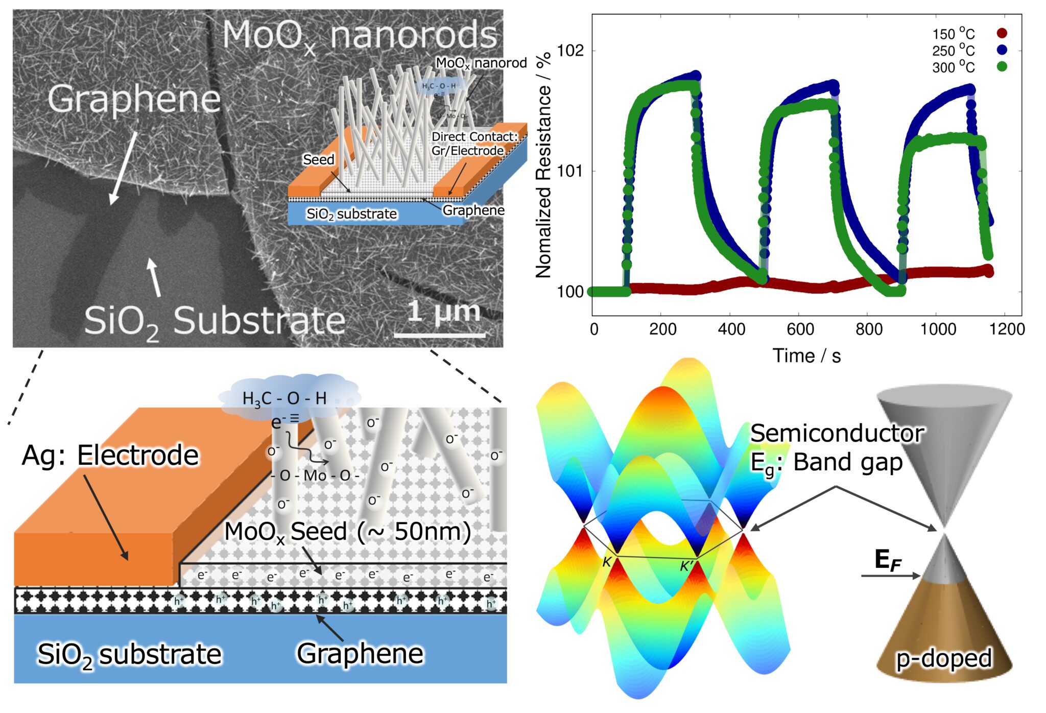 Technology – Sugahara Lab.